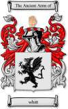 Whitt coat of arms / Whitt Family Crest